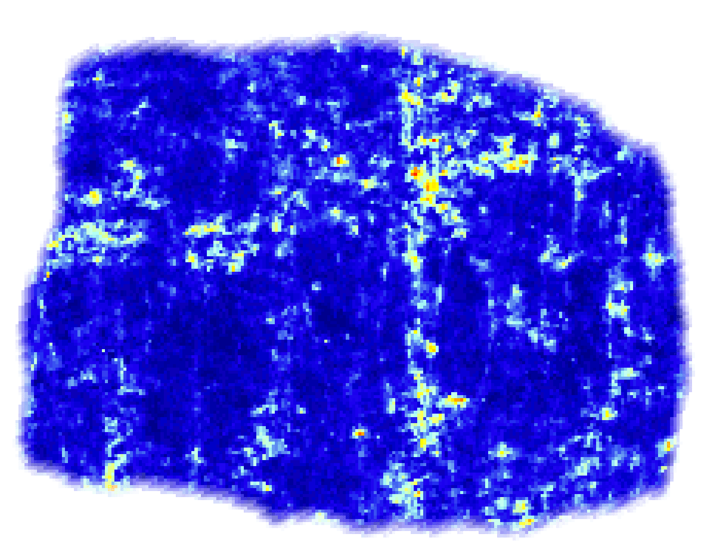 Home - Hyperspectral Imaging Cameras and Systems | Middleton Spectral ...